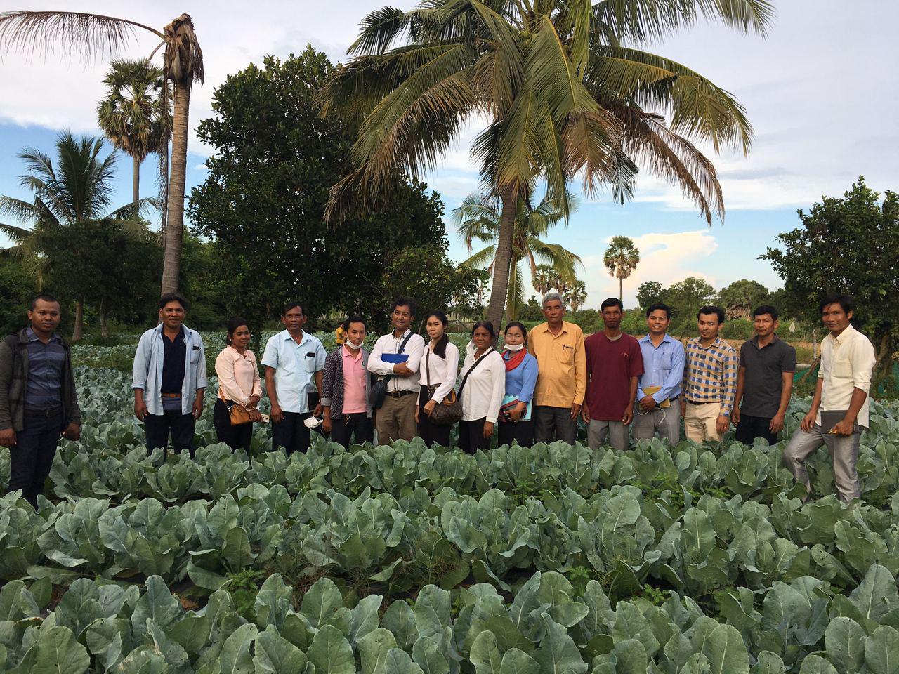 New crops are now grown by smallholder farmers in rural Cambodia ...