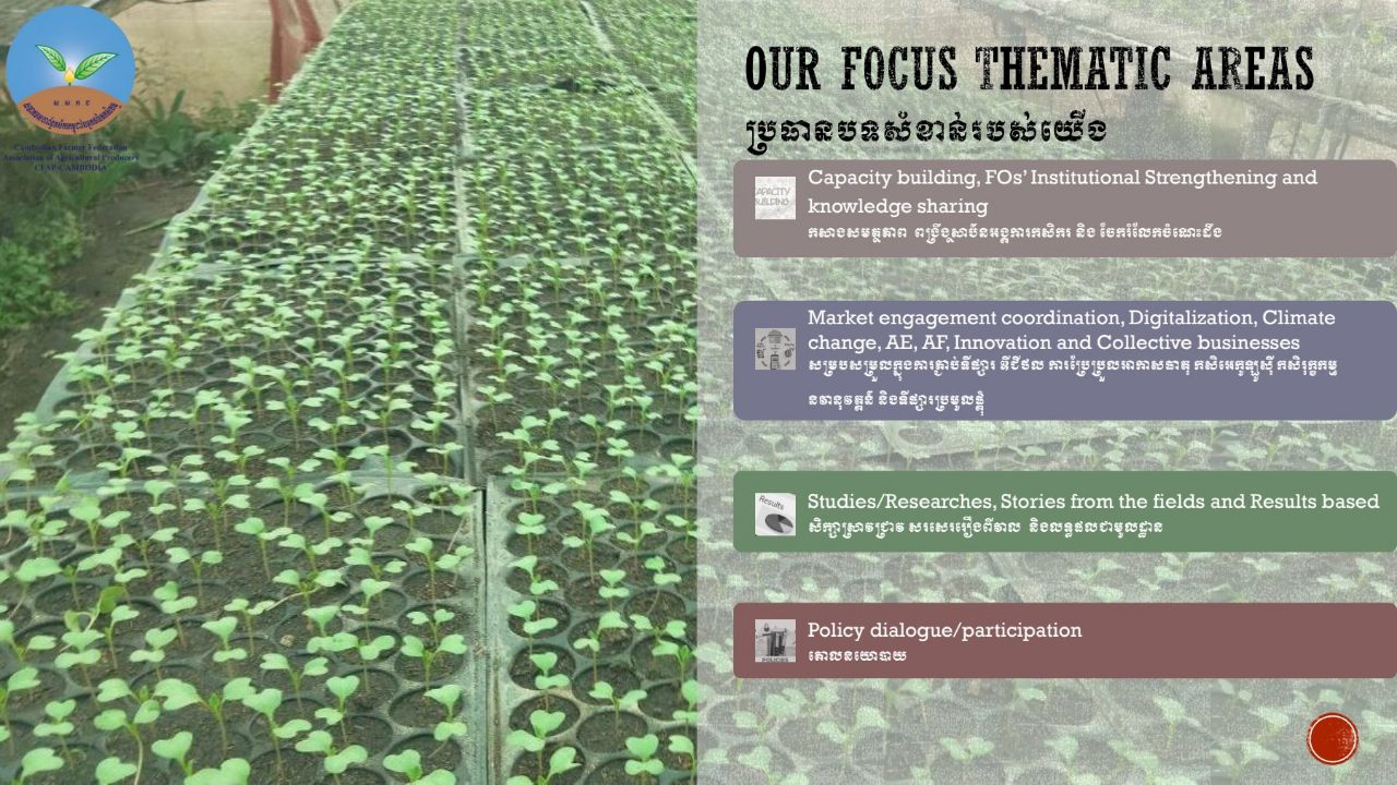 CFAP FOCUS THEMATIC AREAS! – CFAP CAMBODIA